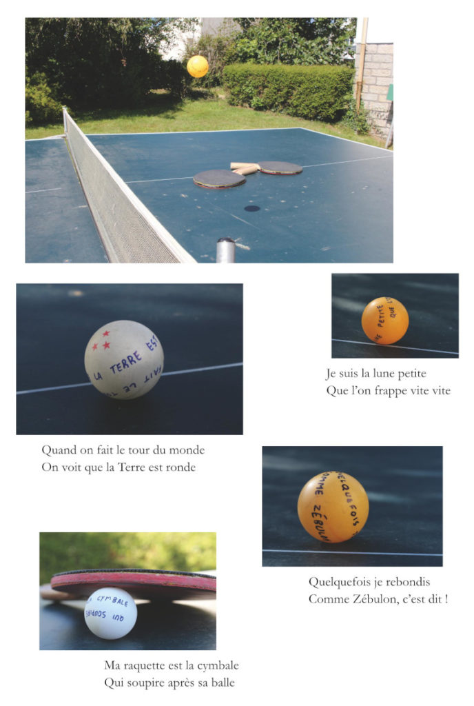 Poèmes objets – Le fantôme des hortensias